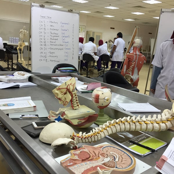 Anatomy Laboratory - College Lab