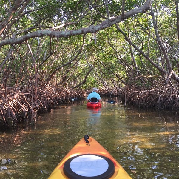 Mangrove Tunnels Kayak Tour - Beach in Lido Key