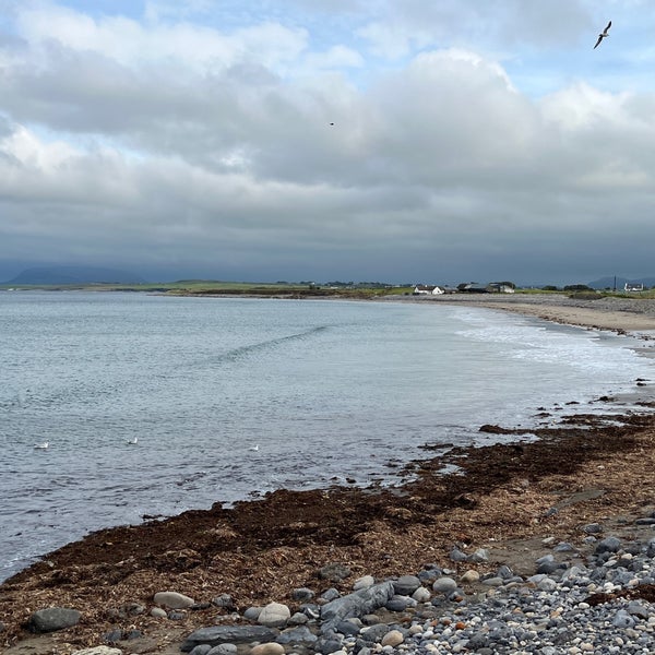 Aughris Head - 1 tip
