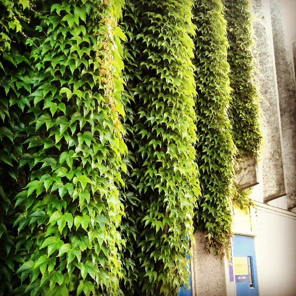 NE1 @ BCIT - Burnaby, BC