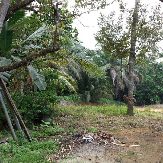 Felda Bukit Aping Timur - Farm in Kota Tinggi, Johor