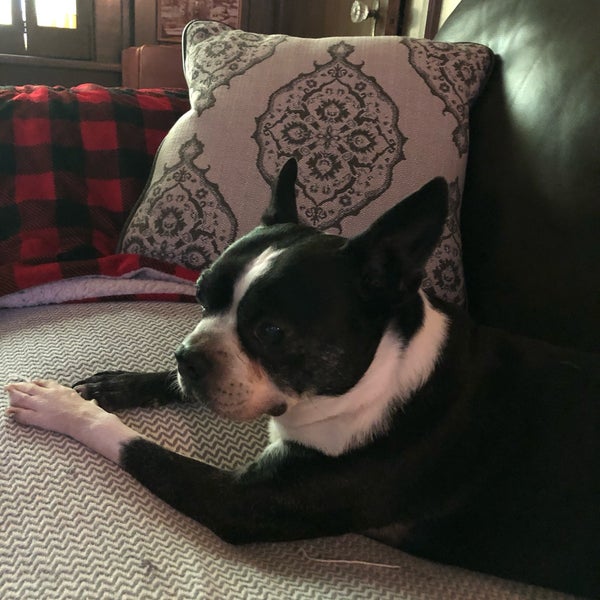 Terr Bear's Dirt Trap - Laundry Service in Rock Island