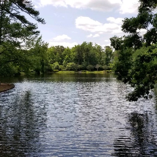 Avondale Lake & Bess Walking Park - 7 tips from 271 visitors