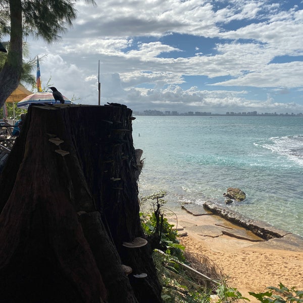 The New Reef Bar & Restaurant