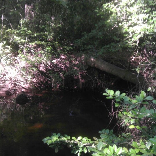 Photos at Lake Rim Park - 8 tips