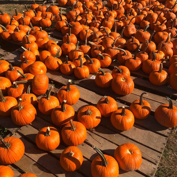 Photos at Terhune Orchards - 69 tips from 3038 visitors