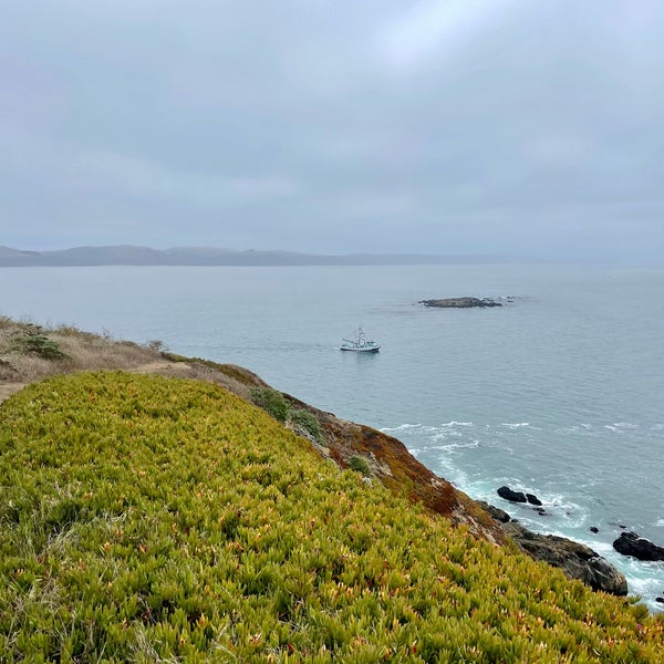 Bodega Head Trail - 4 visitors