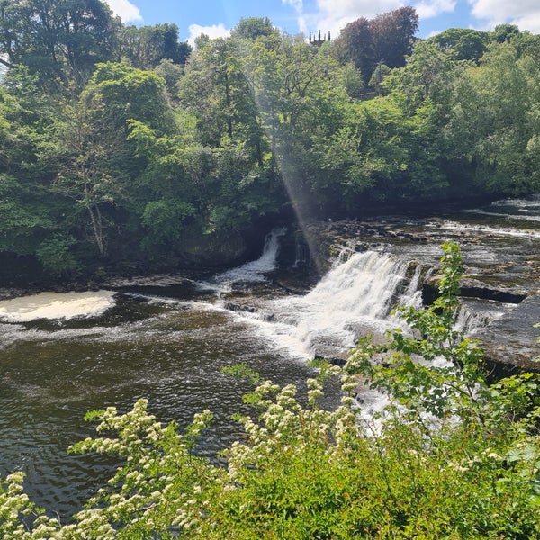 Aysgarth Falls - Church Bank