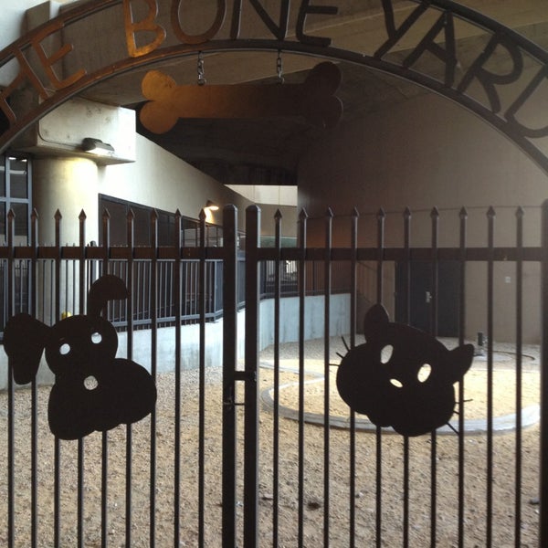 The Bone Yard - Dog Park in Sky Harbor
