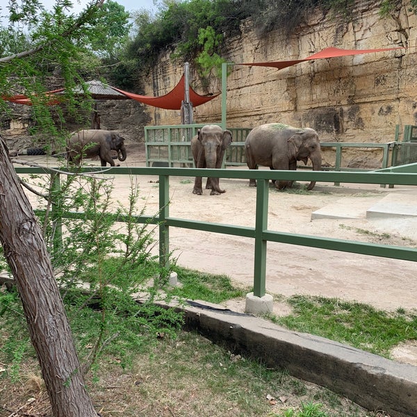 Elephant Exhibit - Zoo Exhibit in Uptown Broadway