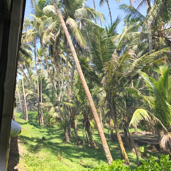 Payagala South Railway Station - 46 visitors