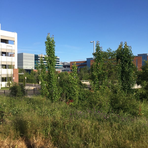 Photos at Intel - Ronler Acres Campus - Northeast Hillsboro - 9 tips ...