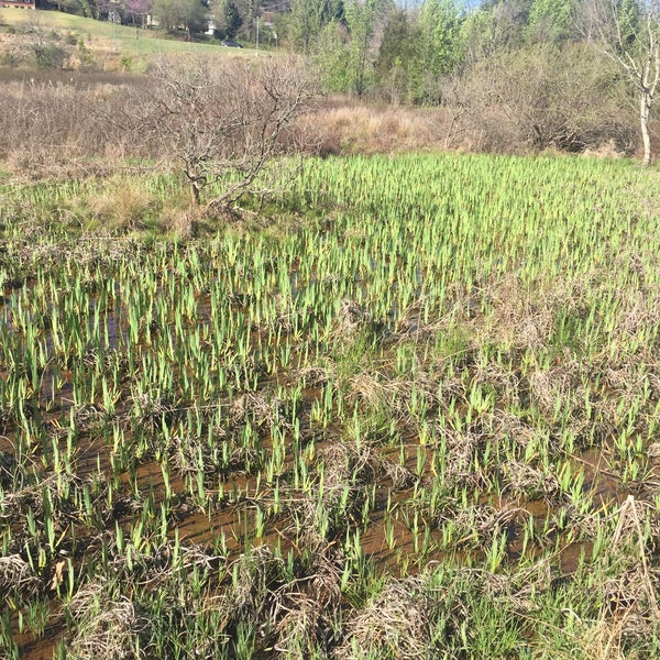 Roanoke County Public Library Headquarters - Cave Spring, VA