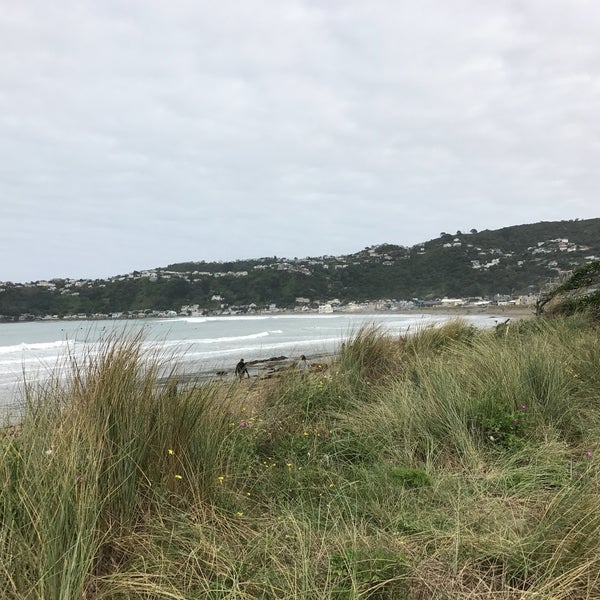 Photos at Lyall Bay Beach - Lyall Bay - 10 tips