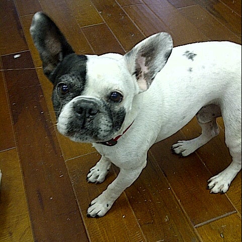 Pop-it! Graphics - Office