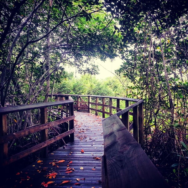Secret Woods Nature Center - Trail