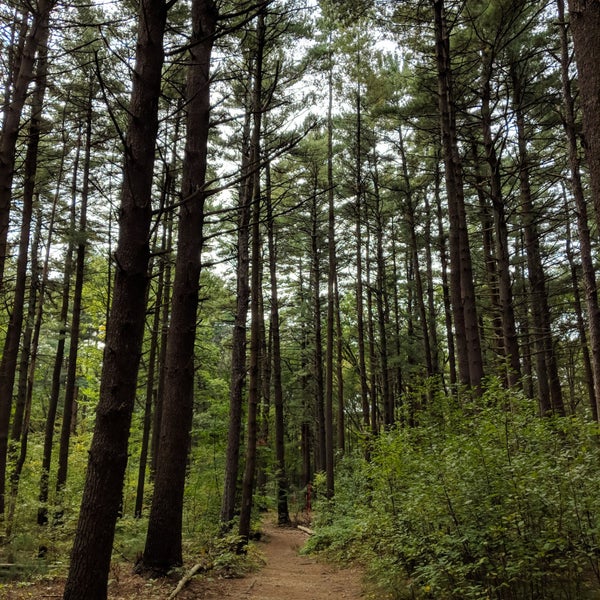 Warren H. Manning State Park - 3 tips