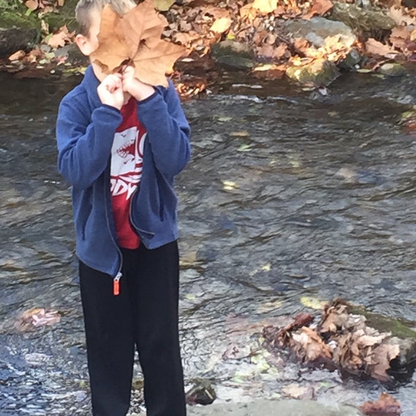 Neag Planetarium at Reading Public Museum - 3 tips