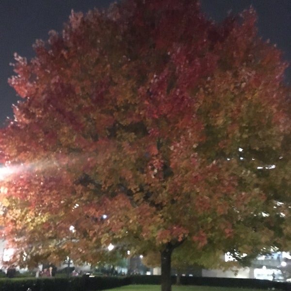Pulitzer Hall - Columbia University Graduate School of Journalism ...