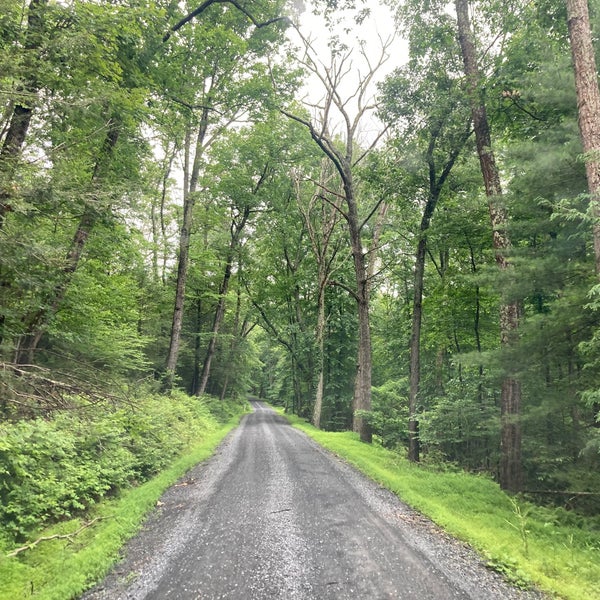 Michaux State Forest - 3 tips from 199 visitors