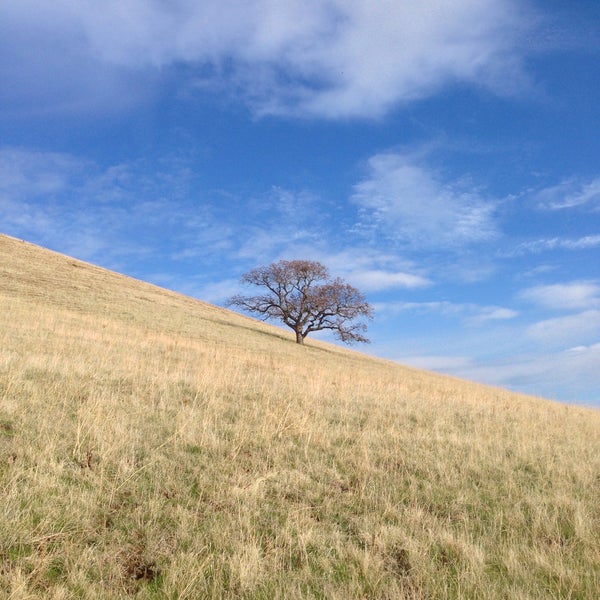 Round Valley Regional Preserve - Park in Brentwood