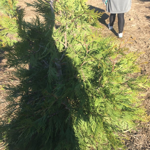 Davis Ranch - Sloughhouse, CA