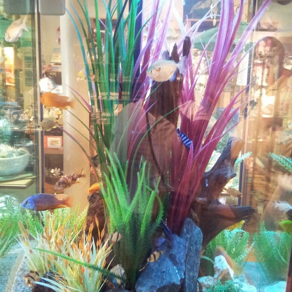 The Admiralty - Miscellaneous Store in Galveston