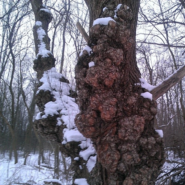 Ryder Park - 3 tips from 102 visitors