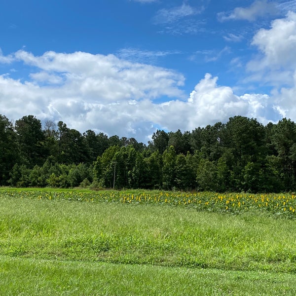 Flowers Farm - Summerton, SC