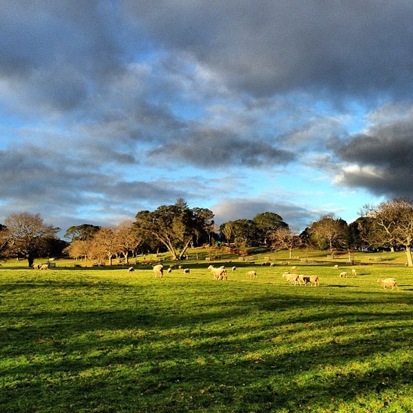 One Tree Hill Domain - Park