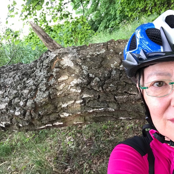 Strandbad Heiligensee