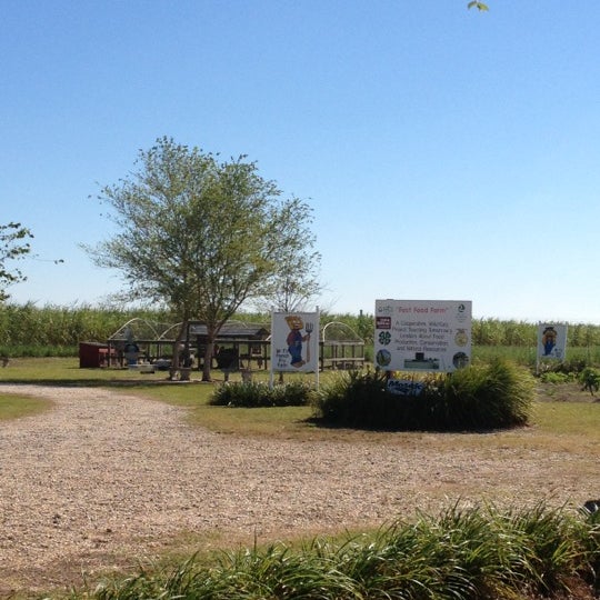 Fast Food Farm - 4 visitors