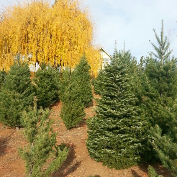 Rapetti Farms - Farm