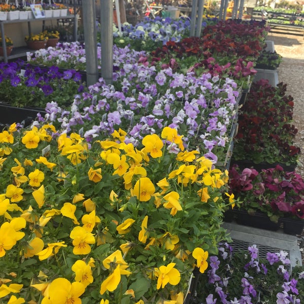 Photos at Strader's Garden Center - 214 visitors
