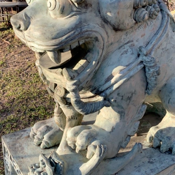 Dragon Park - 5 tips