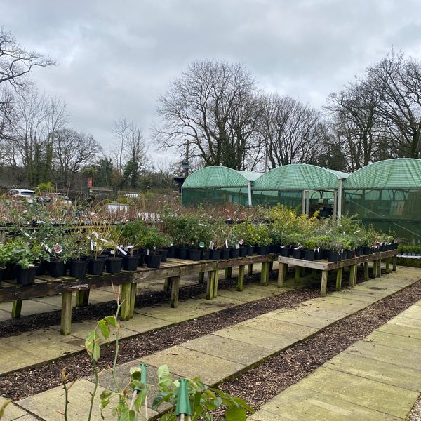 Huntroyde Nursery - Whins Lane