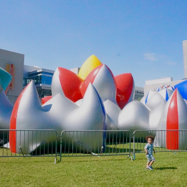 Lawn On D - Park in Boston