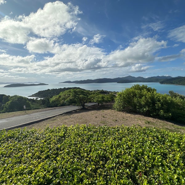 One Tree Hill - Scenic Lookout