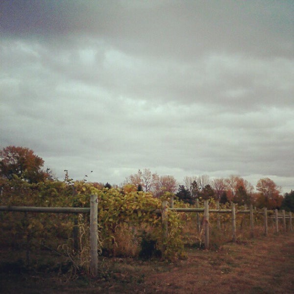 Sovereign Estate Wine - 9 visitors