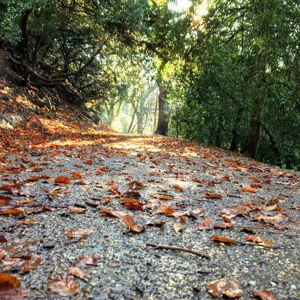 Jesmond Dene Nature Area - Jesmond
