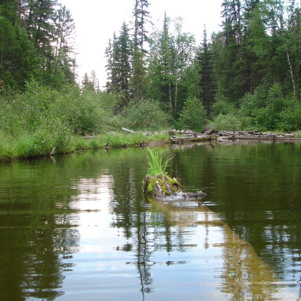 Dog Lake - Lake in olney