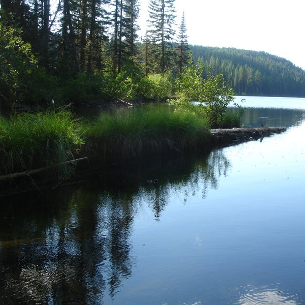 Dog Lake - Lake in olney