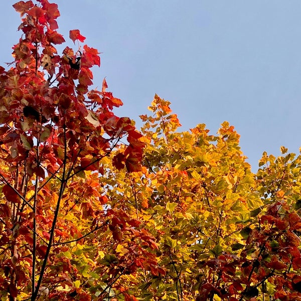 City of Prior Lake - 4 tips