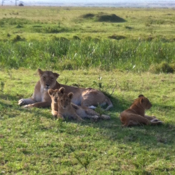 Musiara Airstrip - Airport