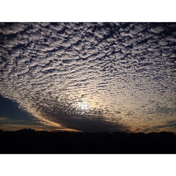 Chinatown Sable Square - iKapa, Western Cape