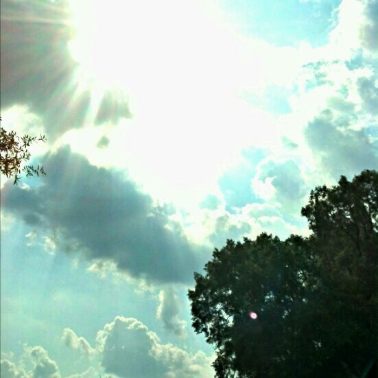 Gothic Reading Room - Perkins Library