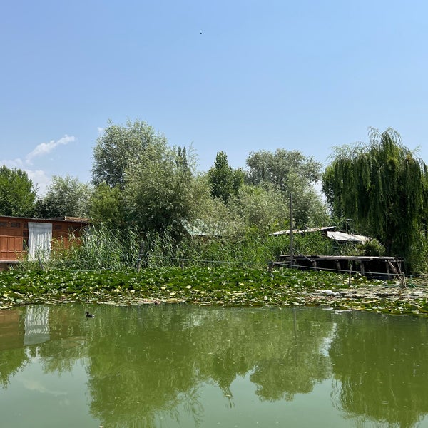 Nigeen Lake - Nigeen