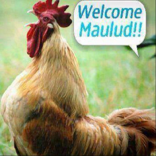 Kano Central Mosque - Mosque