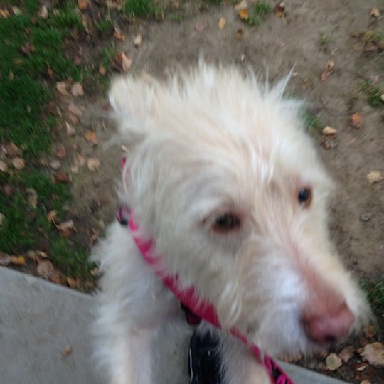 Valley View Veterinary Clinic - Council Bluffs, IA