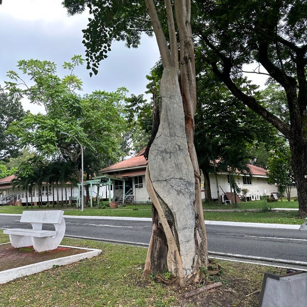 Clark Parade Grounds - 20 tips from 2619 visitors